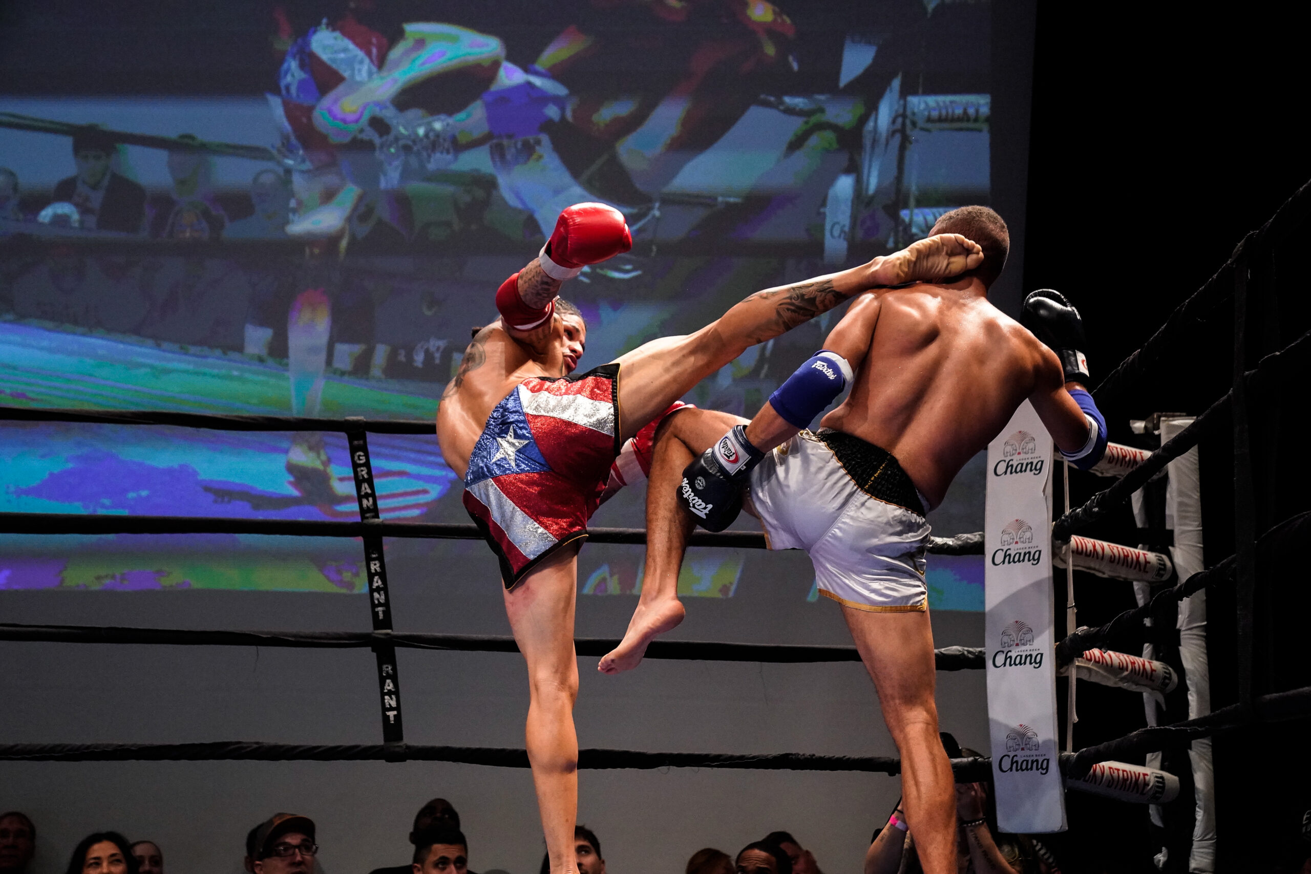 Gallery – Team Taino Martial Arts